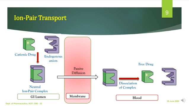 Mechanism of absorption | PPTX | Chemistry | Science