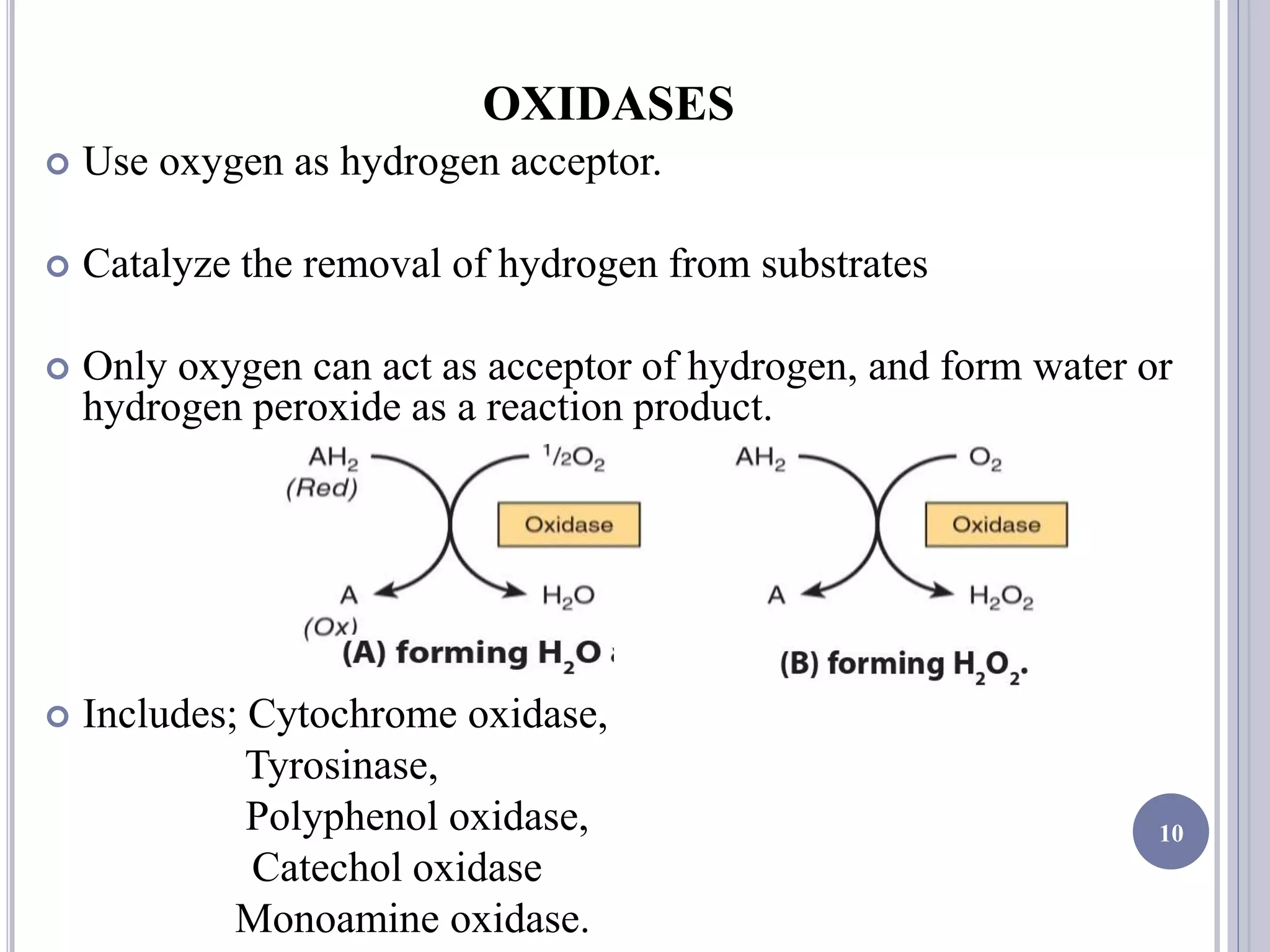 Biological oxidation and etc | PPTX