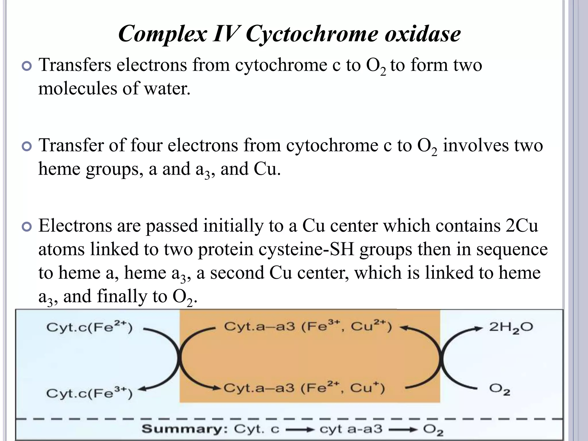Biological oxidation and etc | PPTX