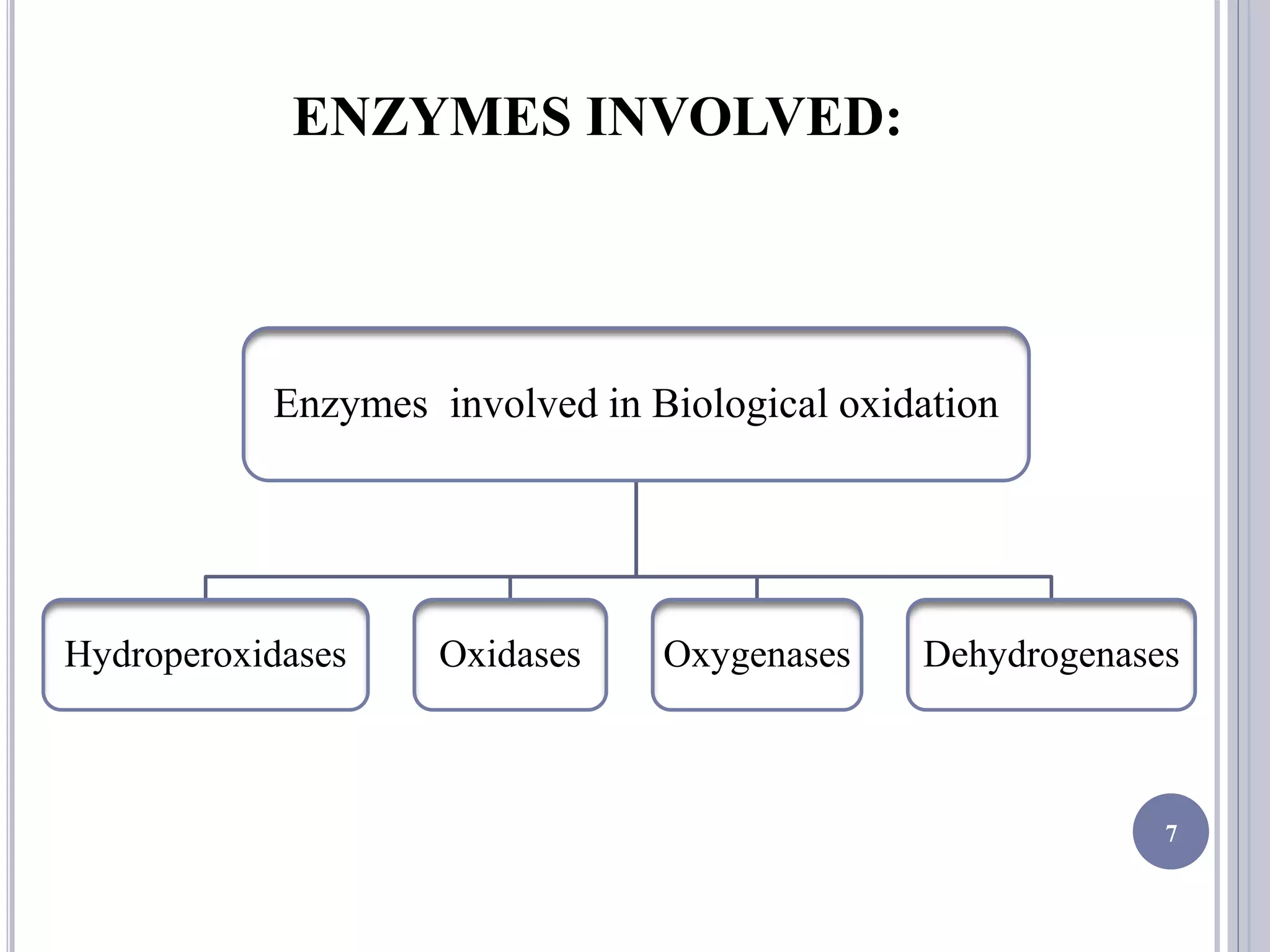 Biological oxidation and etc | PPTX