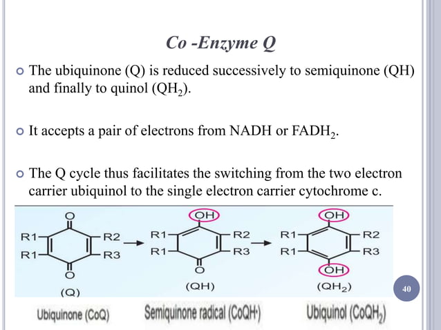 Biological oxidation and etc | PPTX