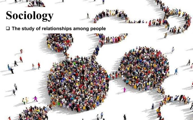 DISS - Introducing the Disciplines within the Social Sciences