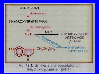 Serotonin, 5-hydroxytryptamine (5-HT) | PPT