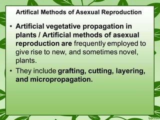 2. materi science p5 ws 2 reproduction vegetatif of artificaly | PPT