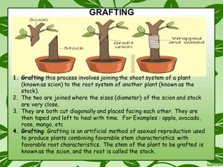 2. materi science p5 ws 2 reproduction vegetatif of artificaly | PPT