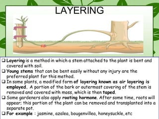 2. materi science p5 ws 2 reproduction vegetatif of artificaly | PPT