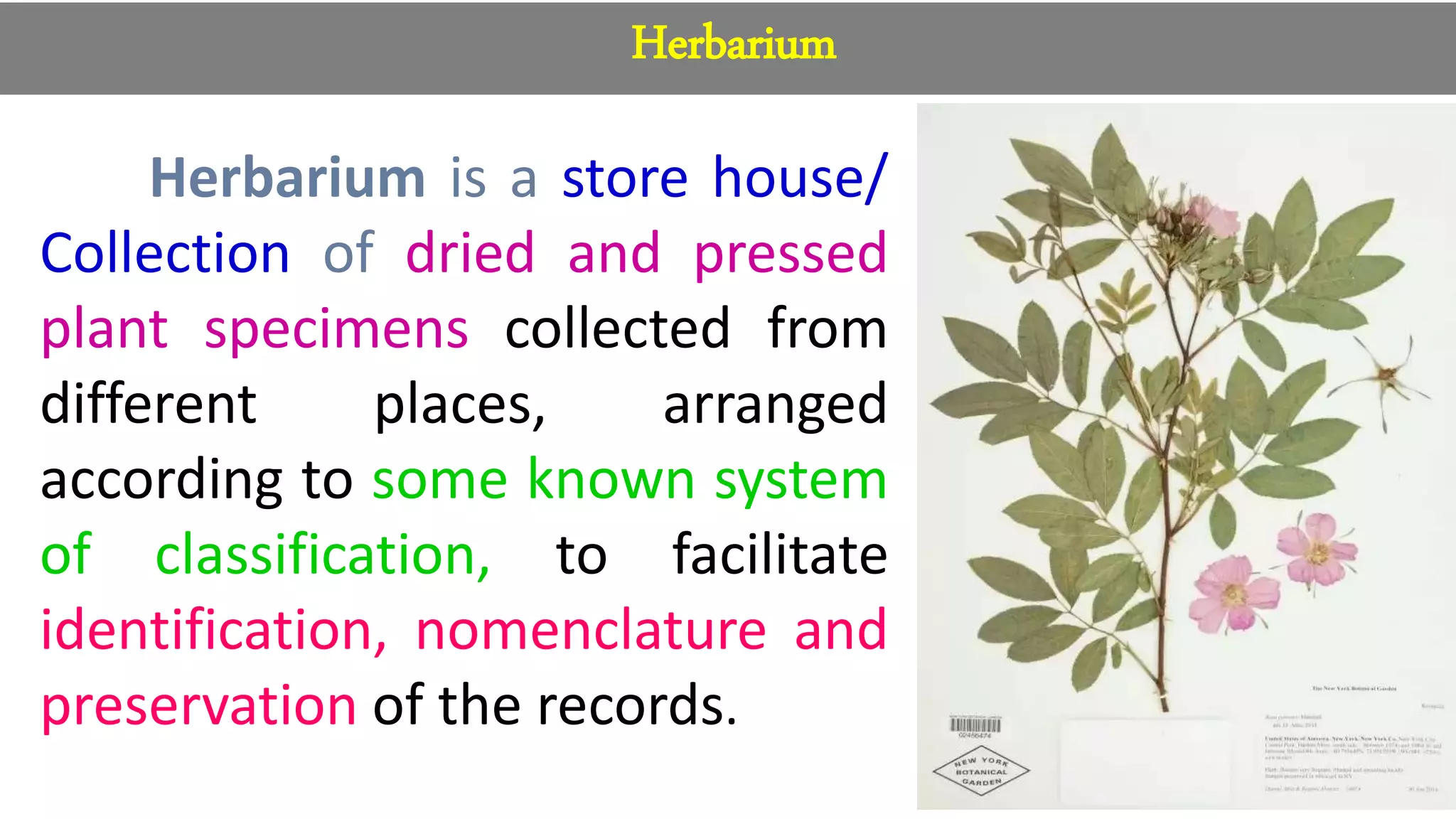 Unit 1 Lesson 2- .introduction to herbarium | PPTX