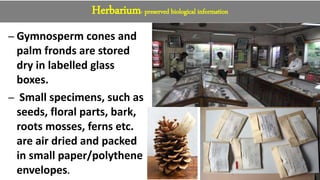 Unit 1 Lesson 2- .introduction to herbarium | PPTX