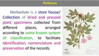 Unit 1 Lesson 2- .introduction to herbarium | PPT
