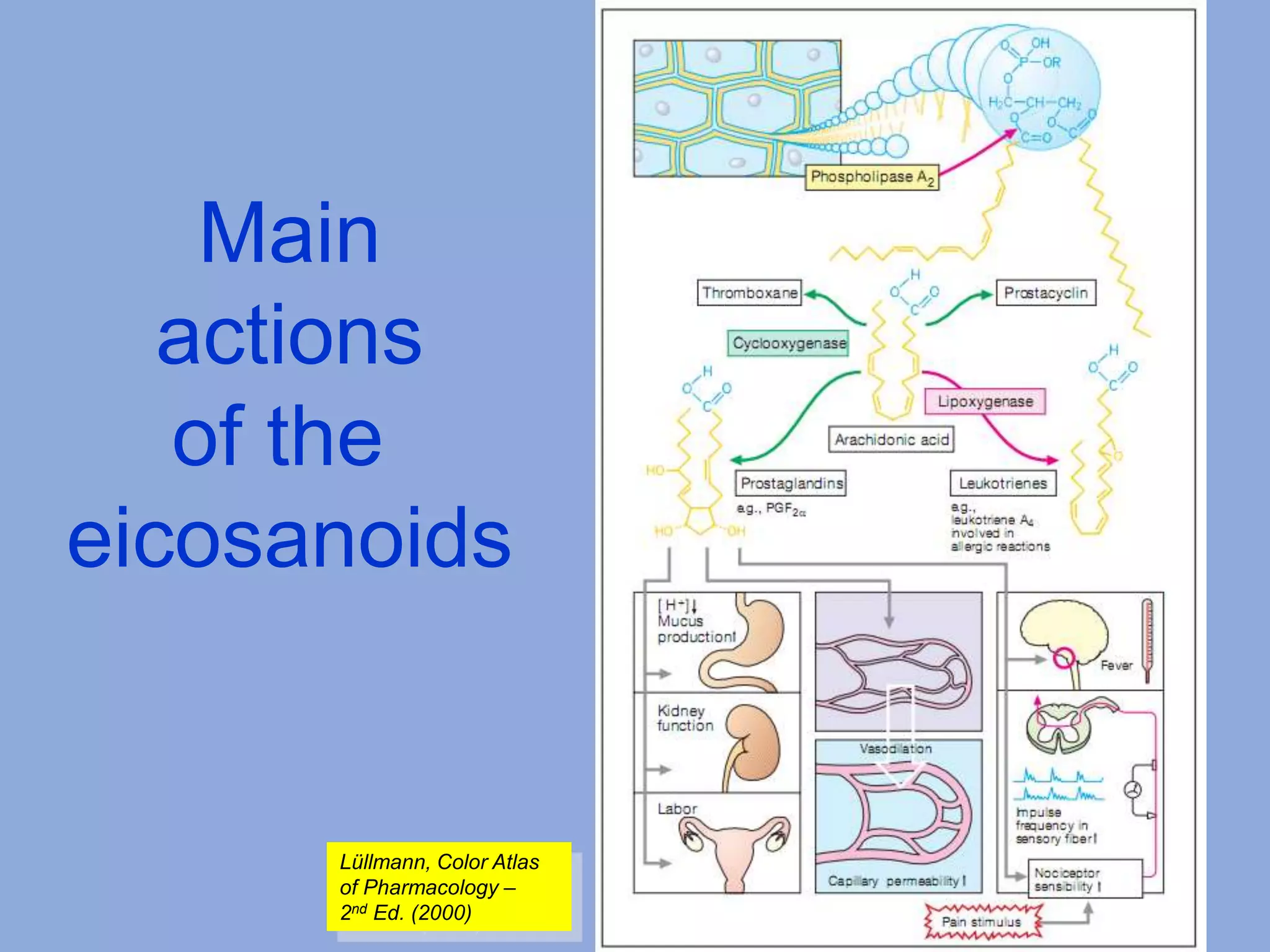 Eicosanoids (prostaglandin, thromboxanes, leukotrienes) | PPTX