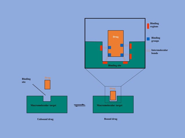 Intermolecular binding forces | PPT