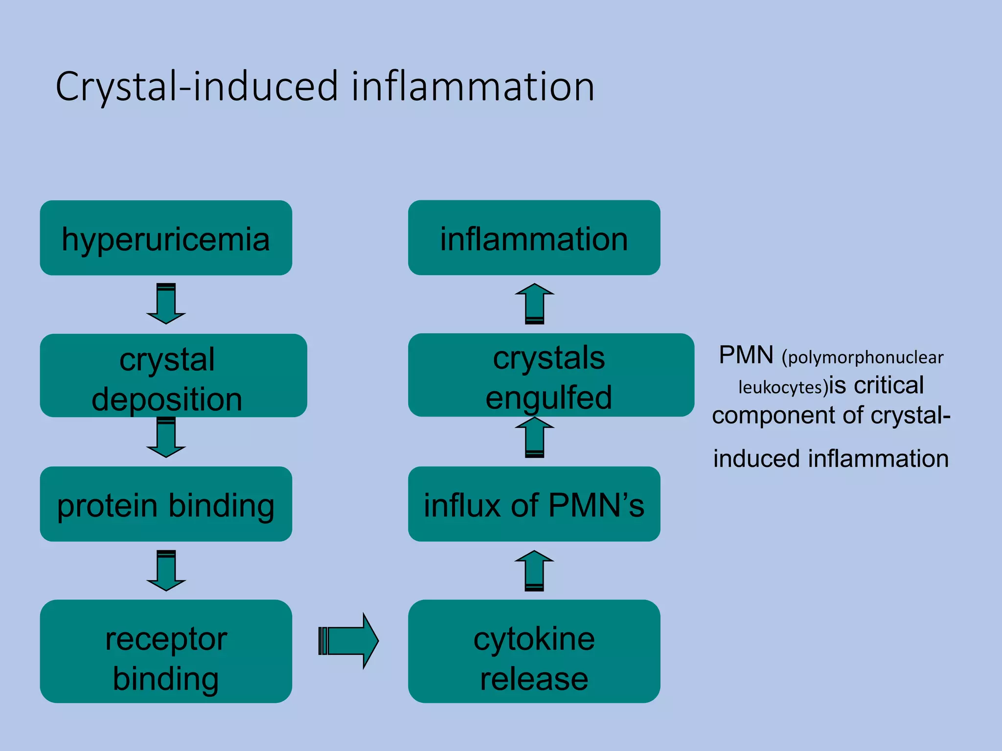 Gout - types,causes,treatment | PPT | Foot Health | Diseases and Conditions