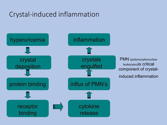 Gout - types,causes,treatment | PPT | Foot Health | Diseases and Conditions