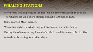 TREATY OF WAITANGI - 1840 SETTING THE SCENE: WHALERS, SEALERS, LOGGERS ...