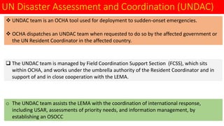 International usar operations roles and responsibilities | PPTX