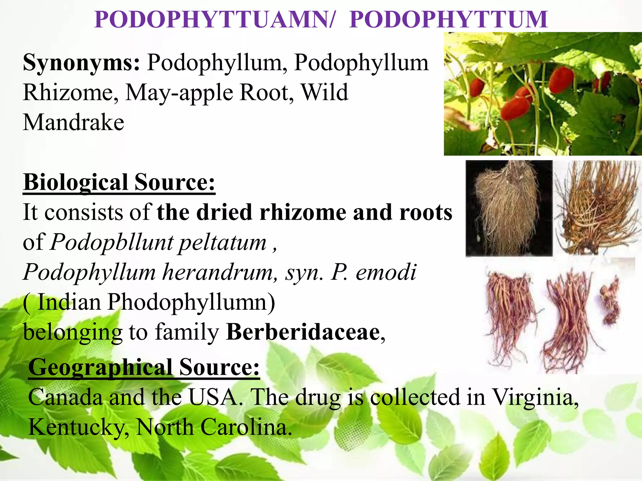 2. phenylpropanoids and flavonoids | PDF