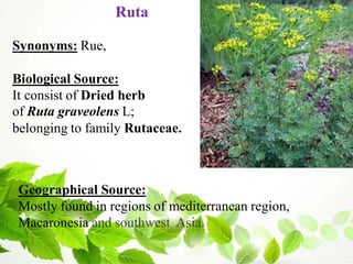 2. phenylpropanoids and flavonoids | PDF