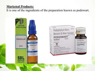 2. phenylpropanoids and flavonoids | PDF