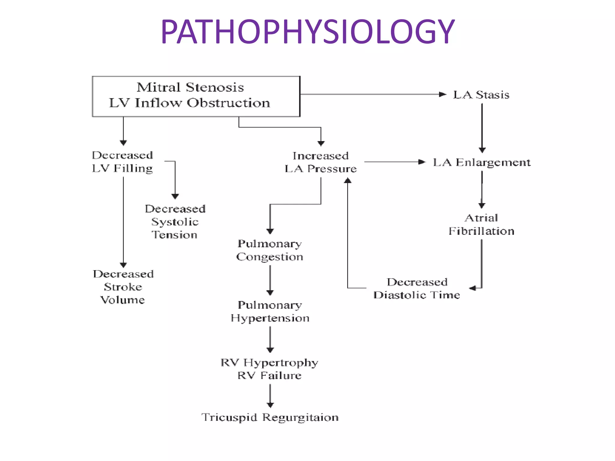 Mitral valve pathophysiology | PPTX