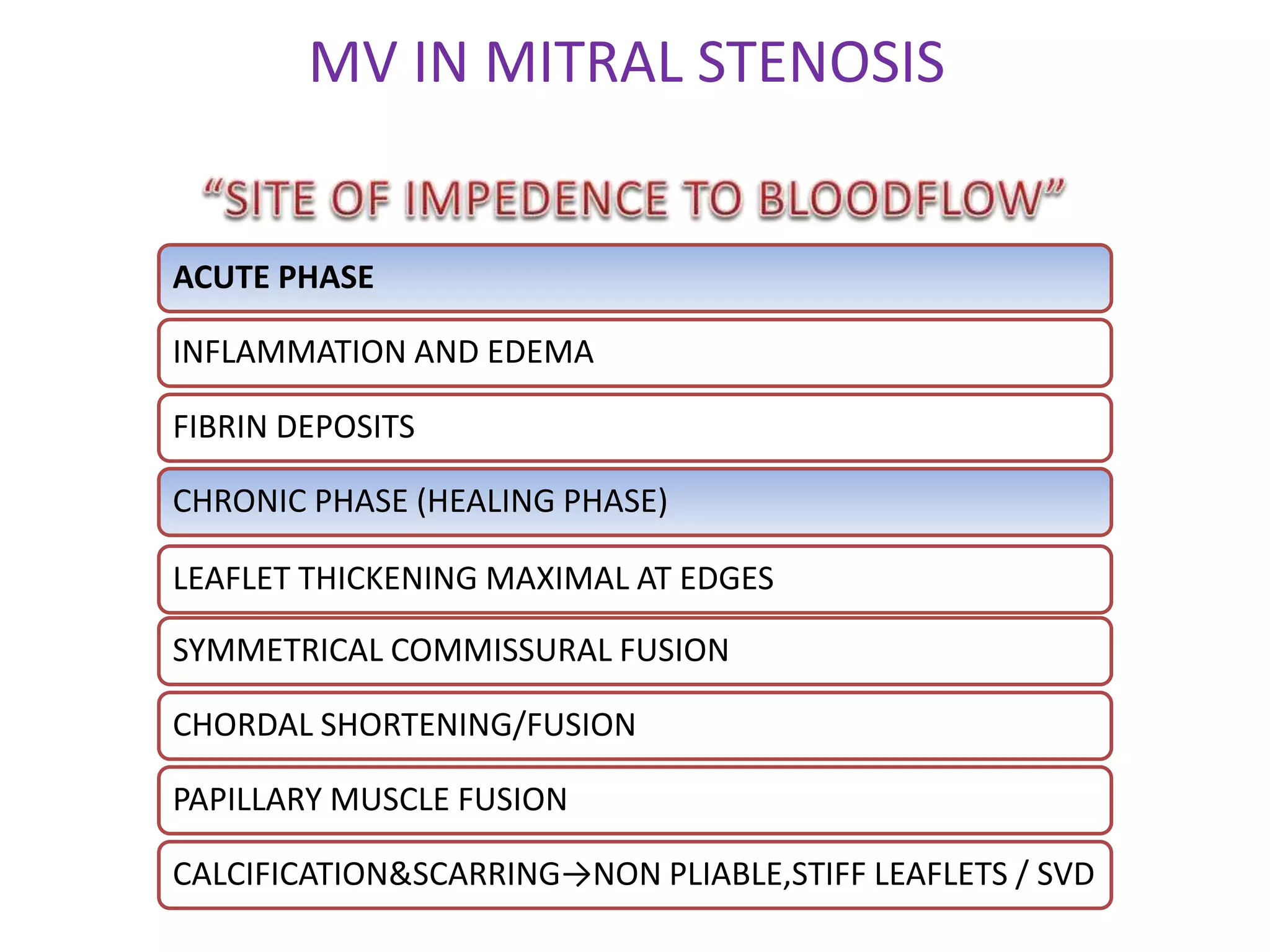 Mitral valve pathophysiology | PPTX