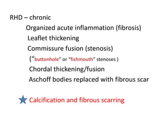 Mitral valve pathophysiology | PPTX