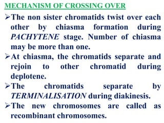 Linkage & Crossing Over | PDF