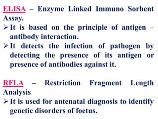 Applications of Recombinant DNA Technology | PPT