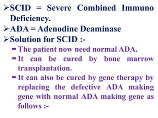 Applications of Recombinant DNA Technology | PPT