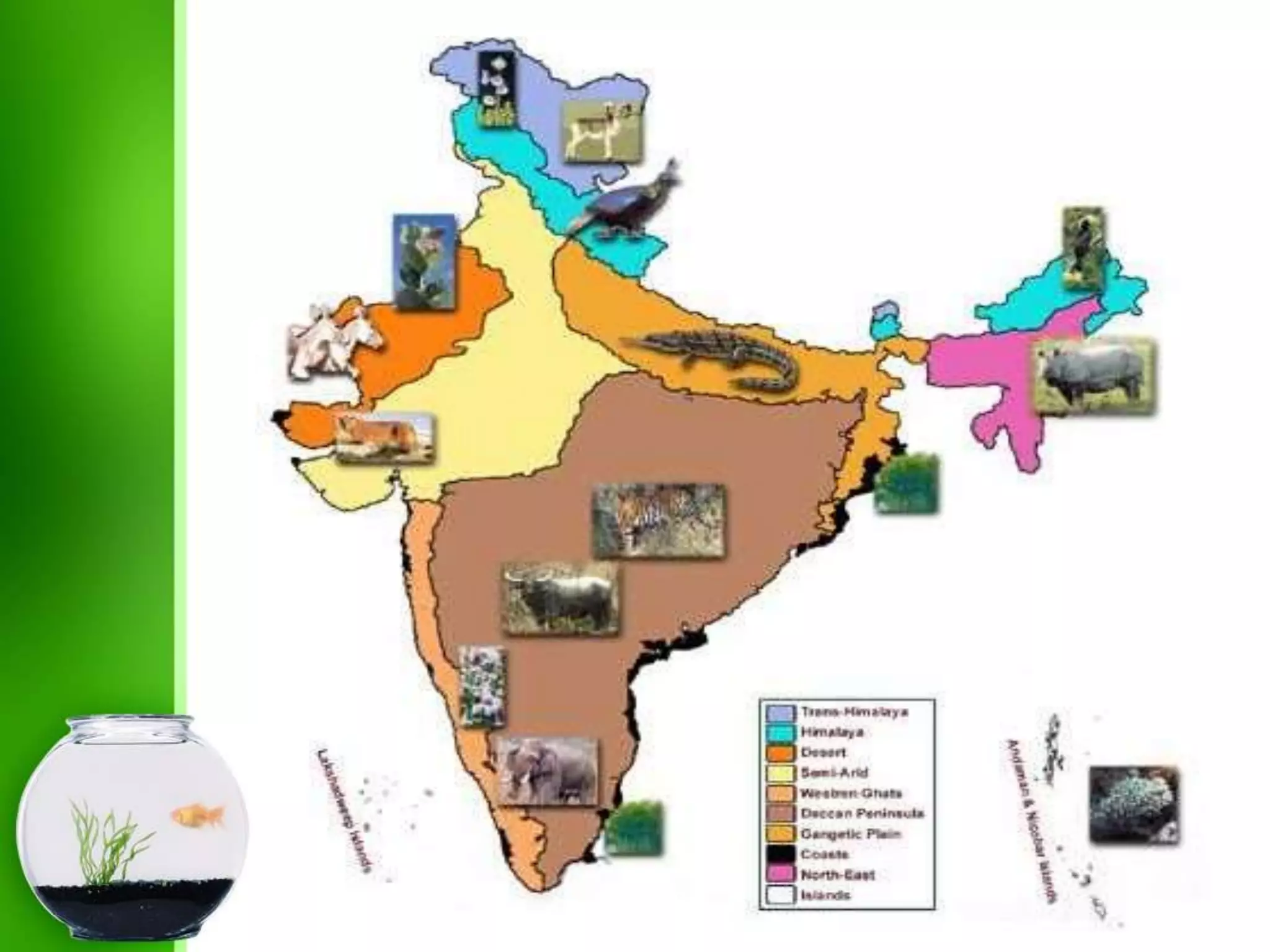 Biogeographical classification of India | PPTX