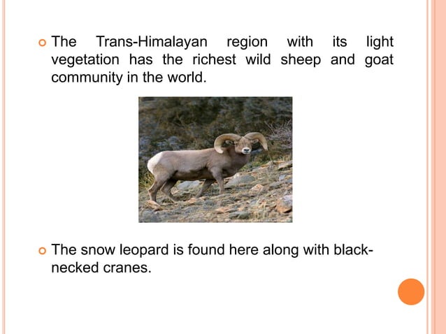 Biogeographical classification of India | PPTX | Asia Travel | Travel ...