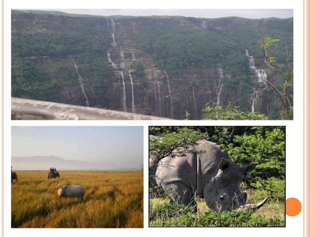 Biogeographical classification of India | PPTX | Asia Travel | Travel ...