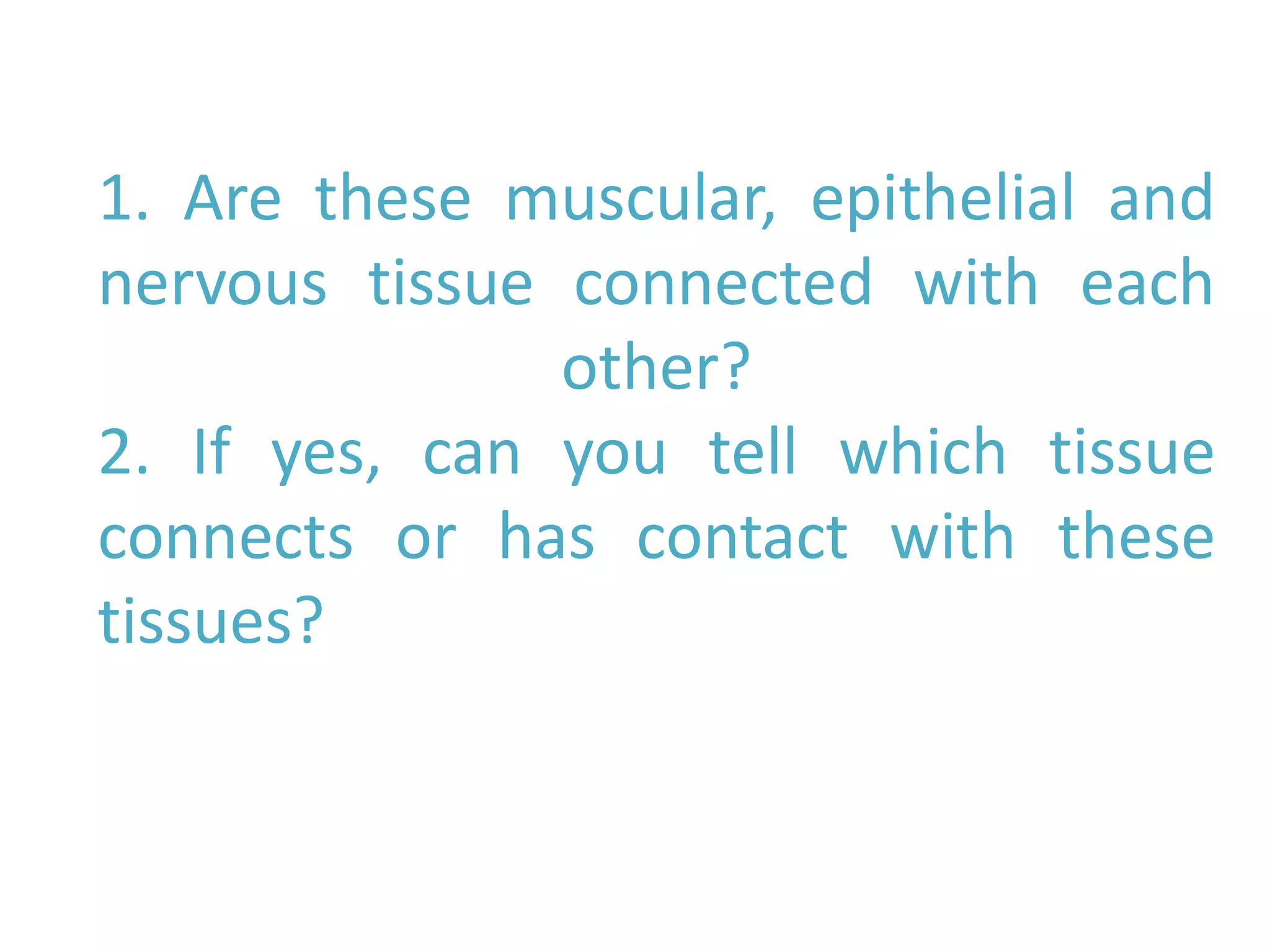 Animal tissues interactive mode | PPT