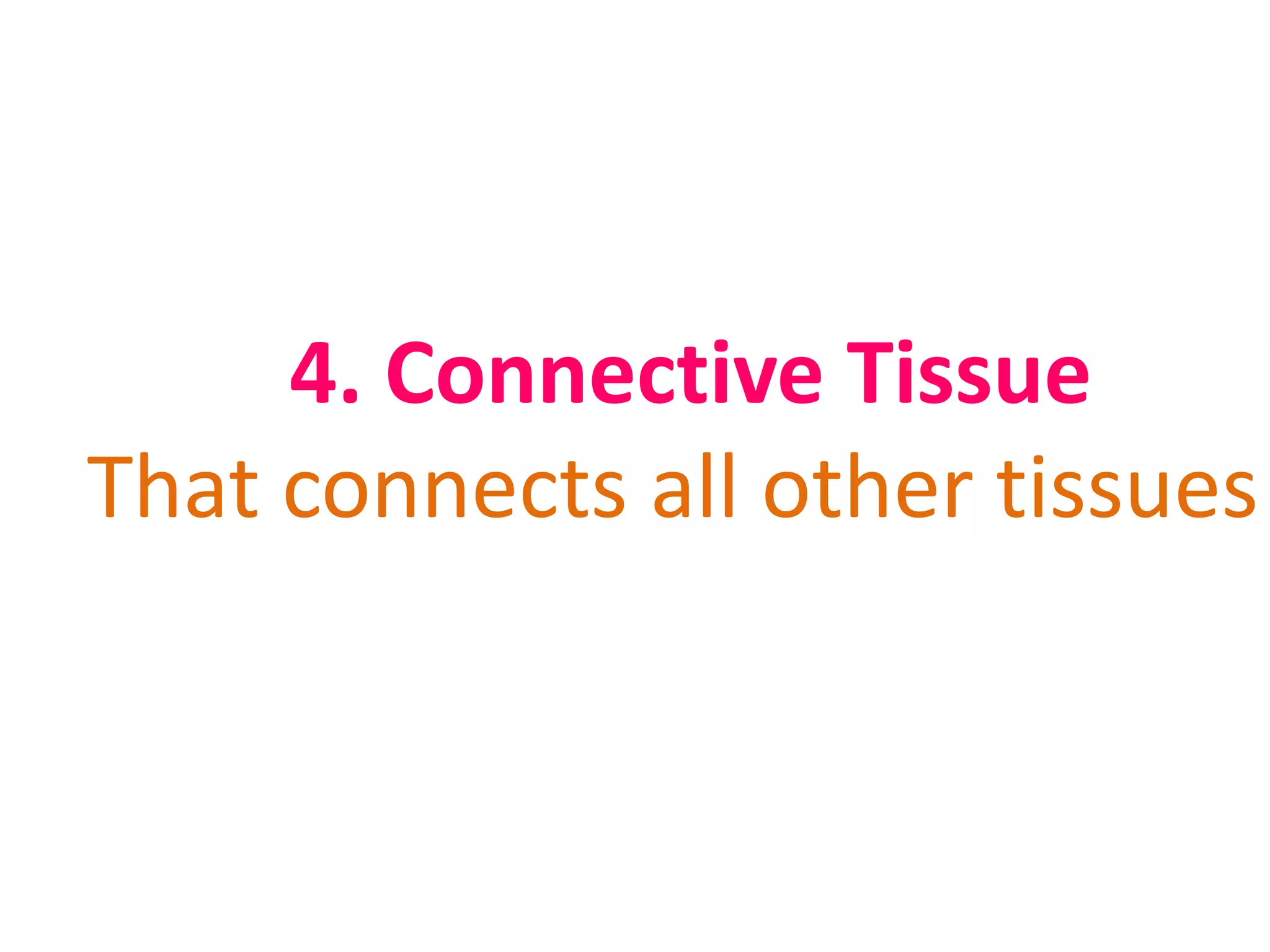 Animal tissues interactive mode | PPT