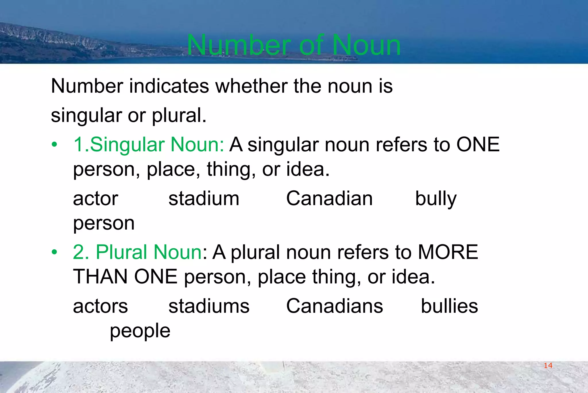 Functional English 03. Noun, Number, Gender | PPT