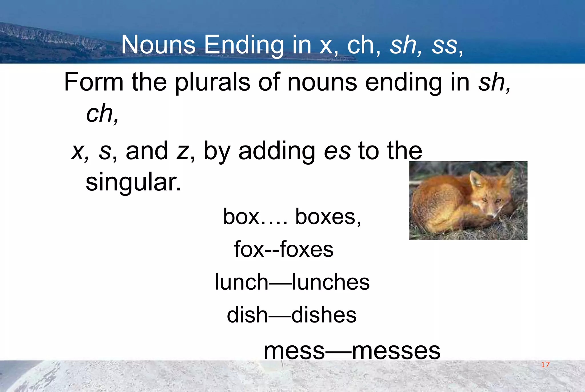 Functional English 03. Noun, Number, Gender | PPT