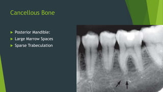 Normal Radiographic Anatomy of Oral Structures | PPTX
