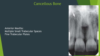 Normal Radiographic Anatomy of Oral Structures | PPTX