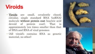 Causes of plant diseases | PPTX