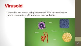 Causes of plant diseases | PPTX