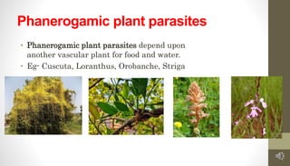 Causes of plant diseases | PPTX