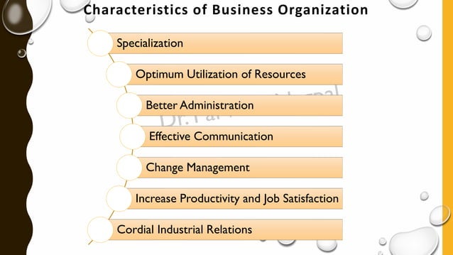 2. Types of Business Organizations | PPT