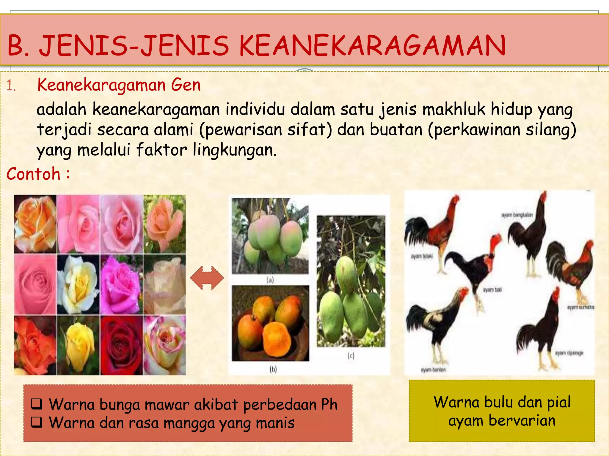 MATERI KEANEKARAGAMAN HAYATI | PPTX