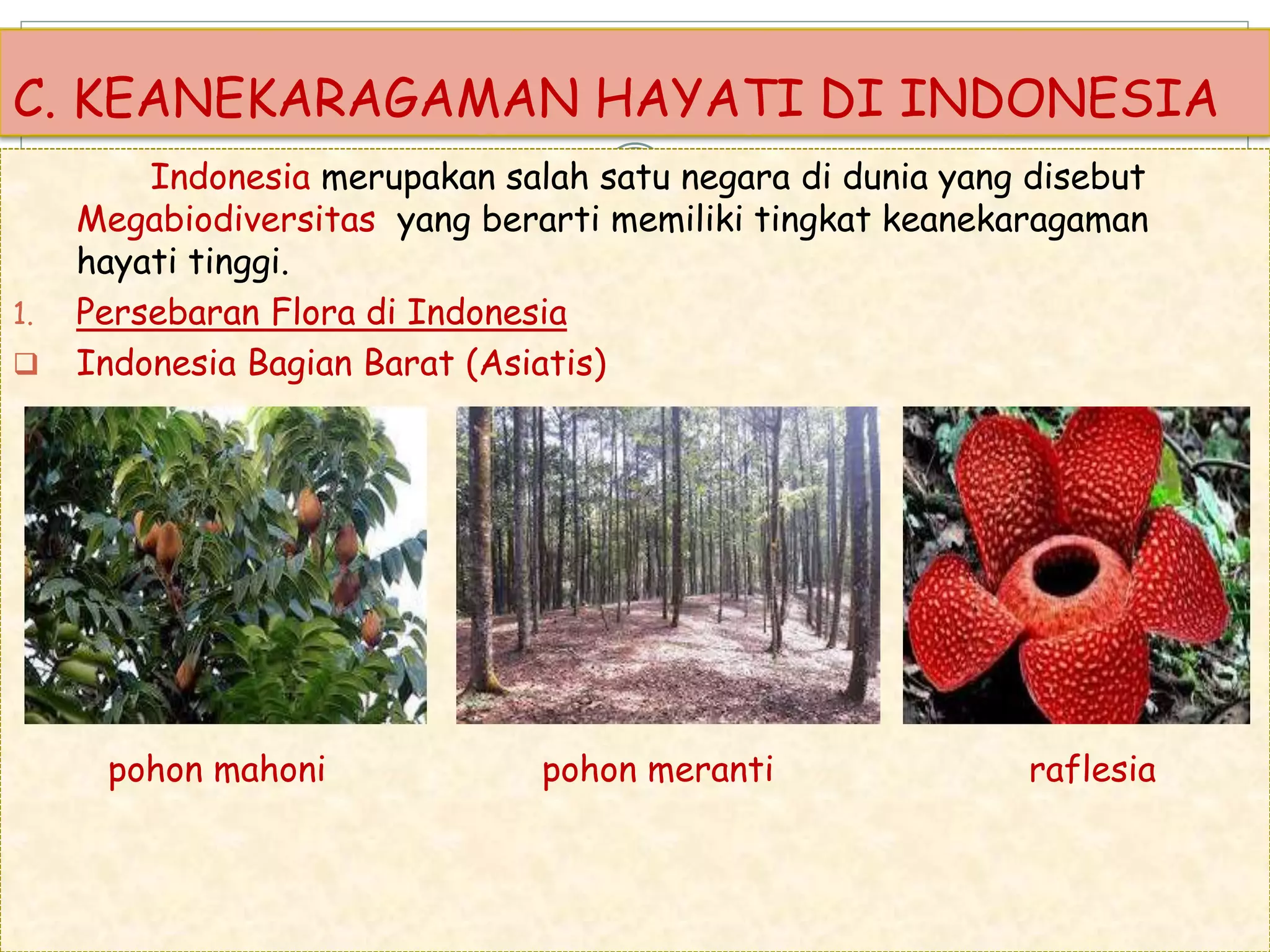 MATERI KEANEKARAGAMAN HAYATI | PPTX