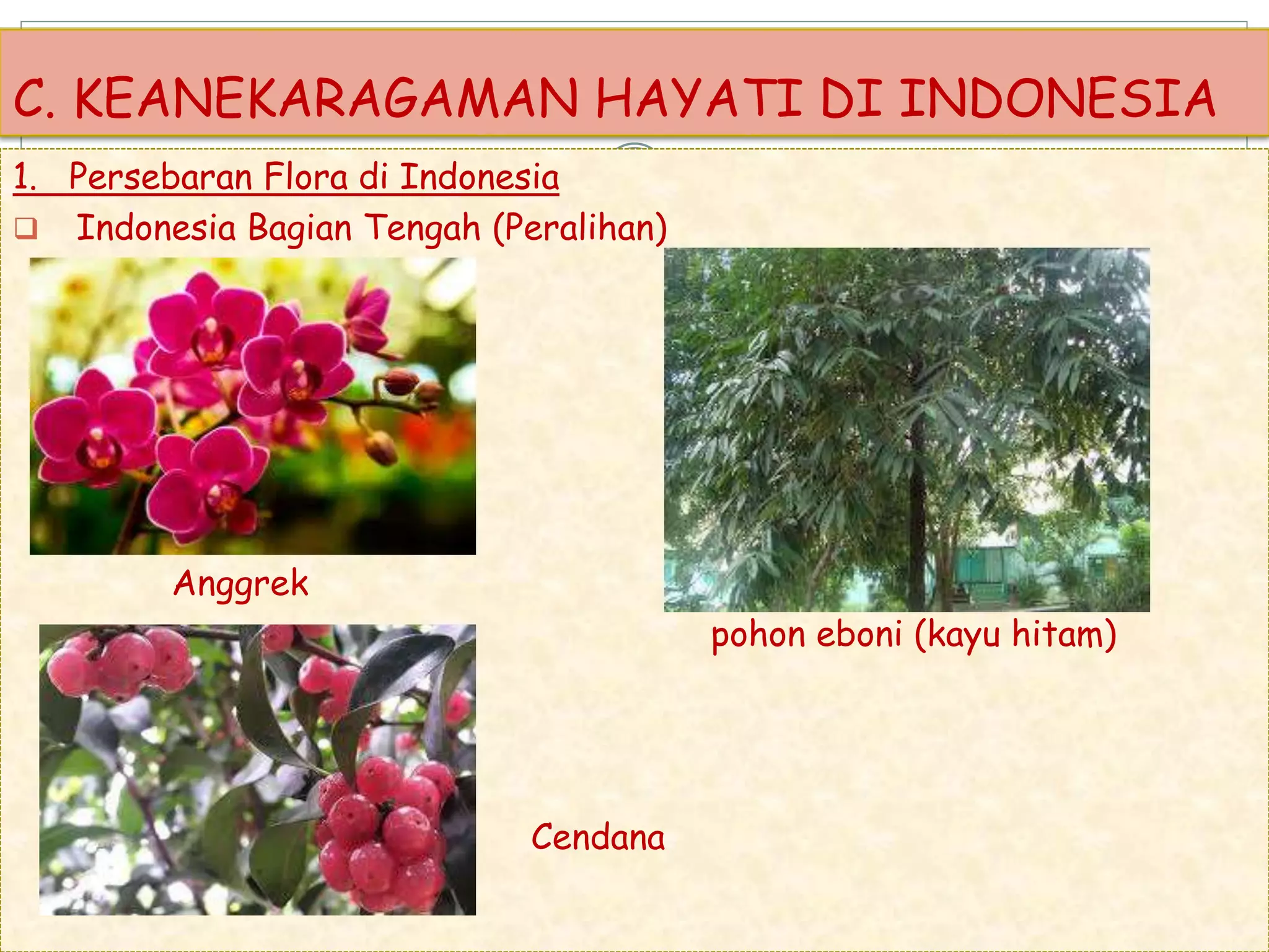 MATERI KEANEKARAGAMAN HAYATI | PPTX