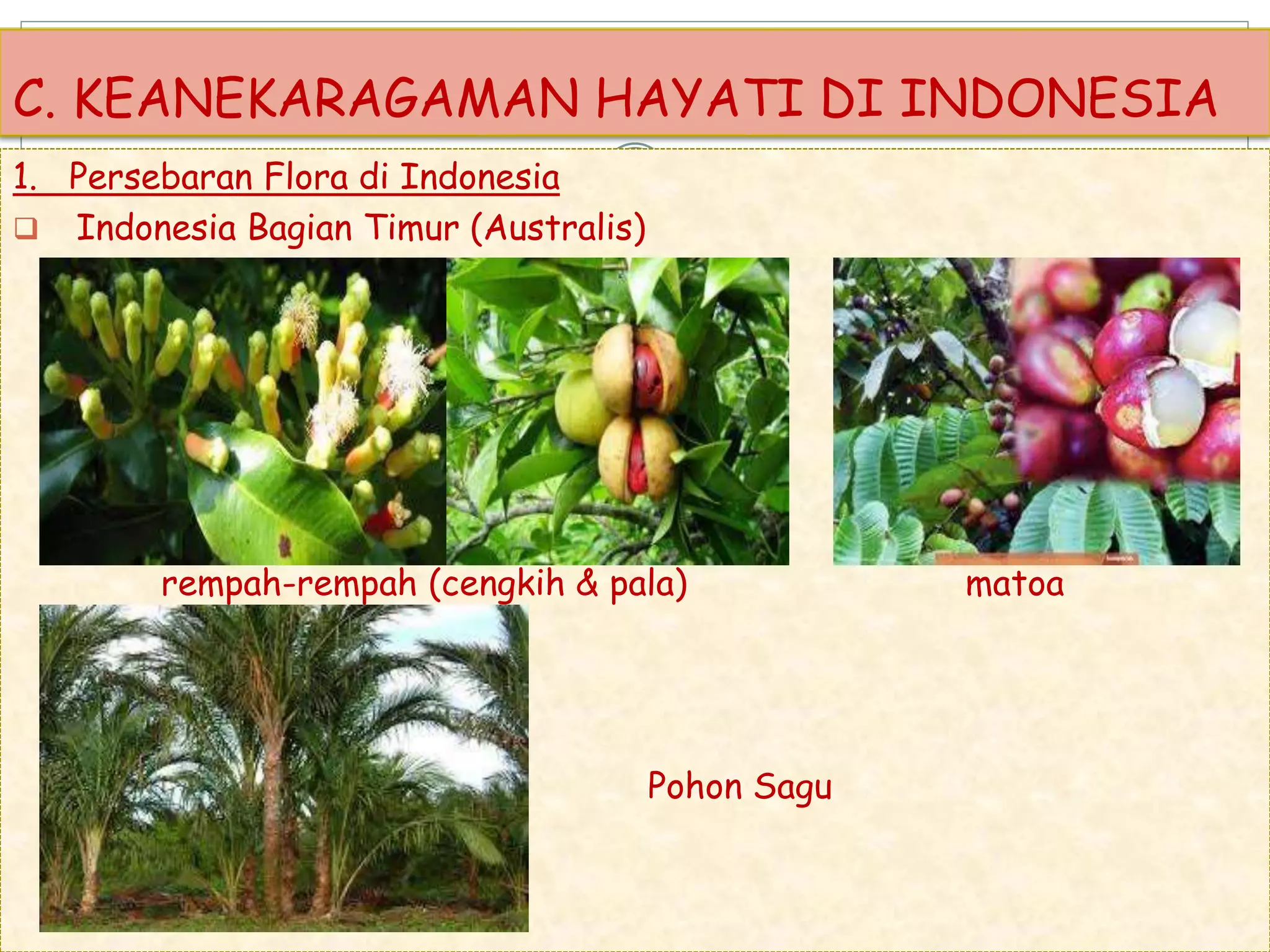 MATERI KEANEKARAGAMAN HAYATI | PPTX
