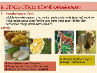 MATERI KEANEKARAGAMAN HAYATI | PPTX