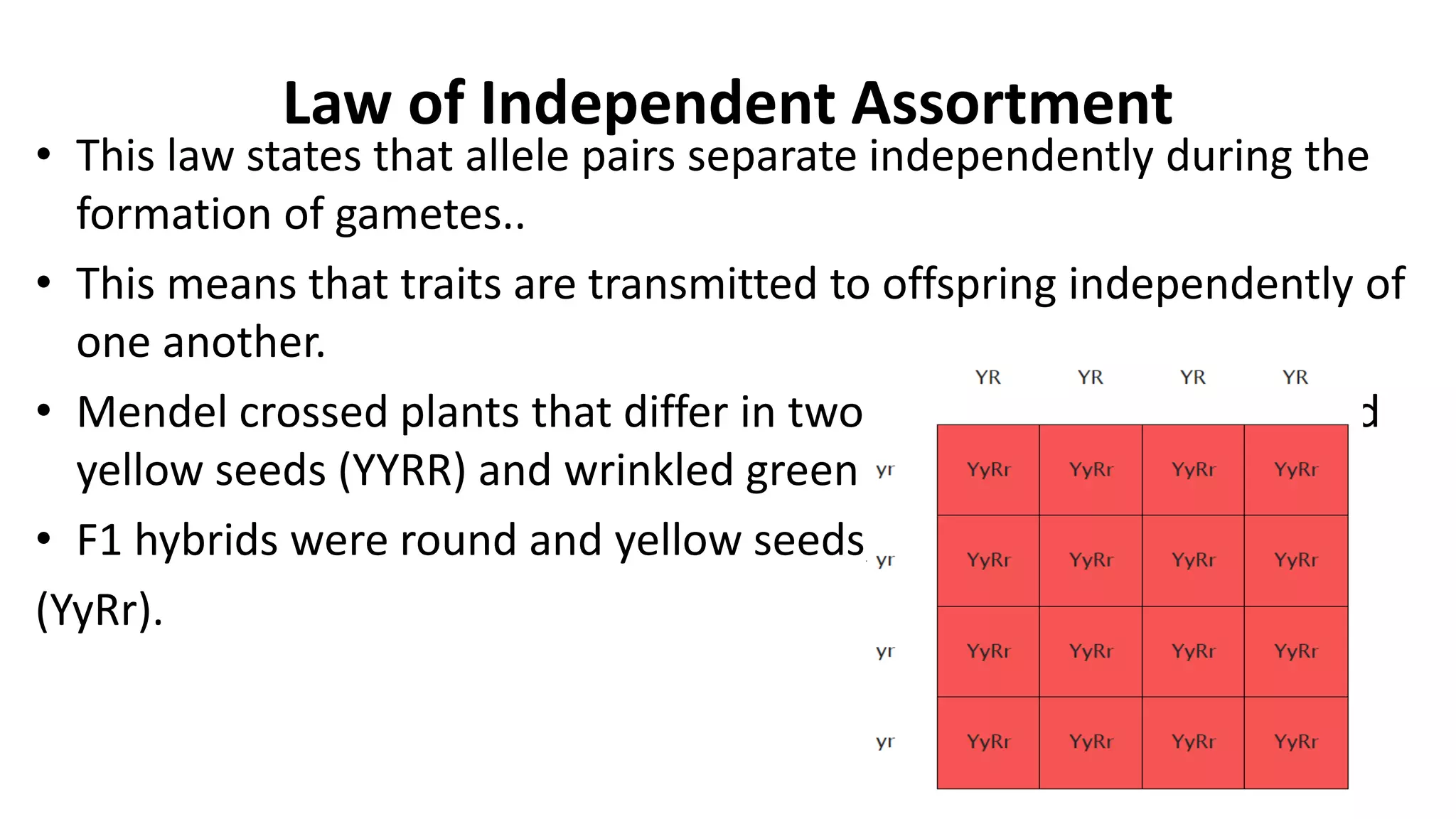 Mendelian Laws of Inheritance | PPT