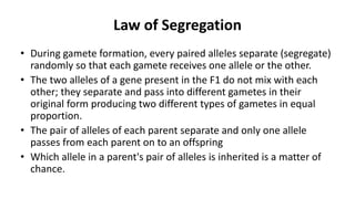 Mendelian Laws of Inheritance | PPT | Genetics | Science