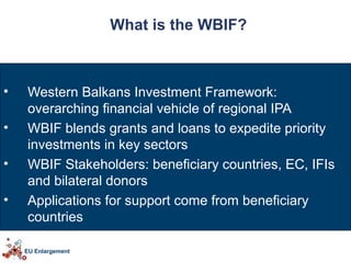 2 davor kunc wbif presentation to undp edited | PPT