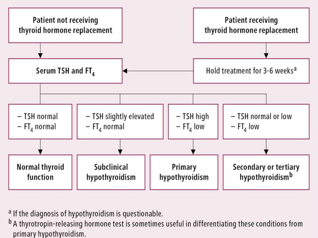 Hypothyroidism: Evaluation & Management by Dr Selim | PPT | Thyroid ...